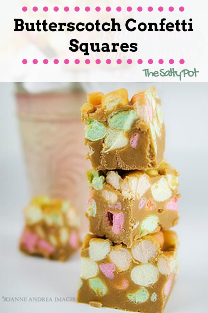 Butterscotch Confetti Squares: My Love Affair | The Salty Pot