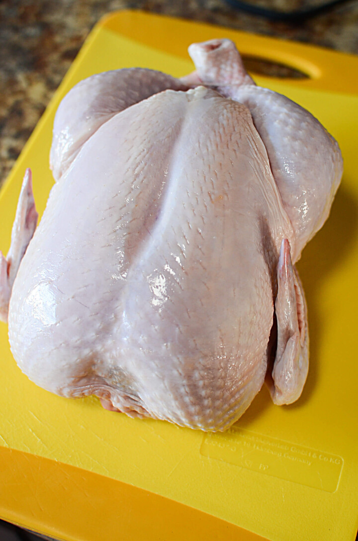 Ninja Foodi Roast Chicken