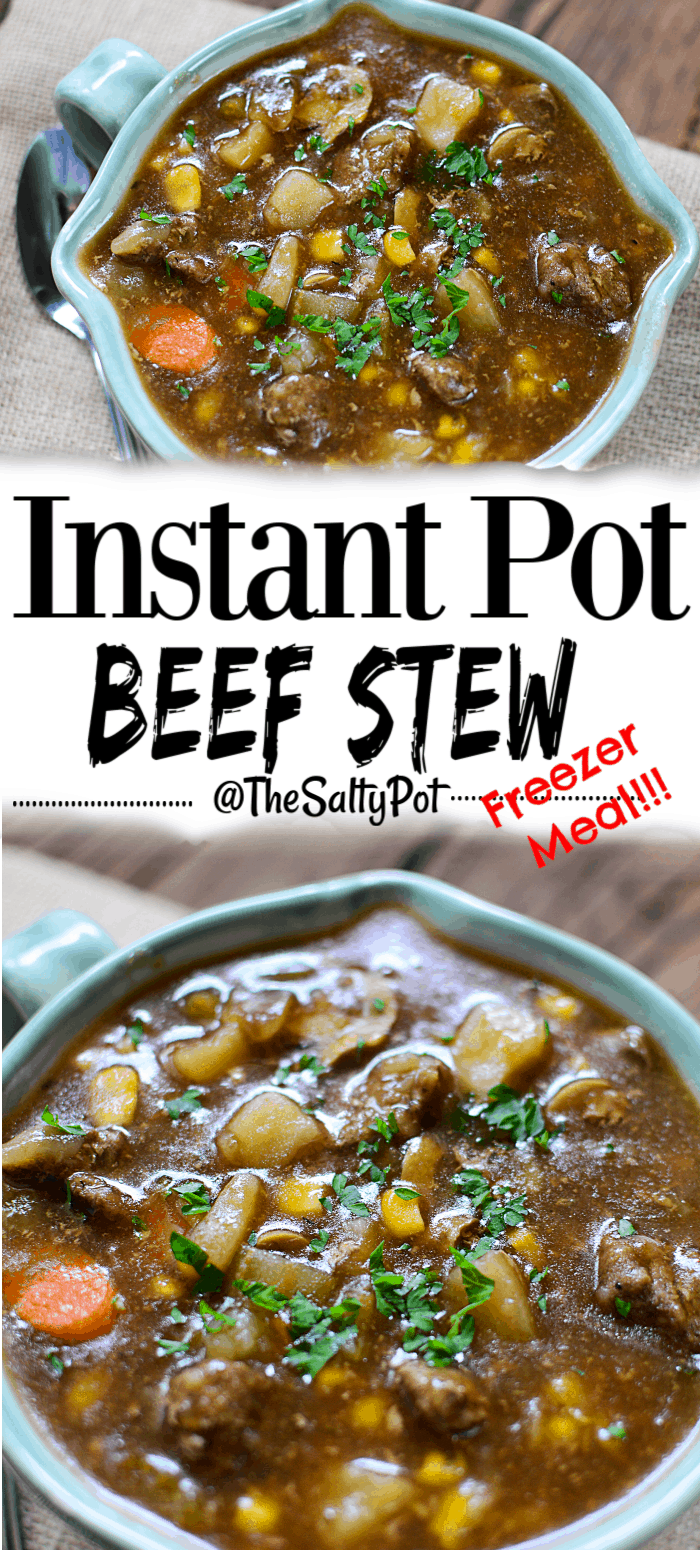 HEARTY INSTANT POT BEEF STEW {Freezer Meal!} | The Salty Pot