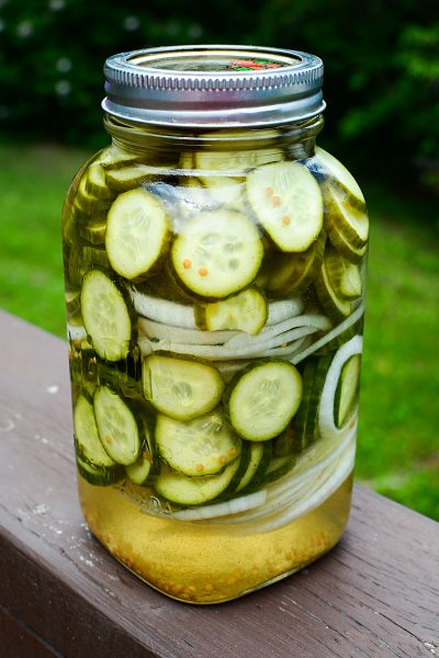 Make Your Own Delicious Bucket Pickles | The Salty Pot