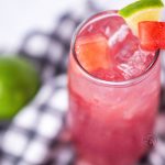 Watermelon Vodka Punch | The Salty Pot
