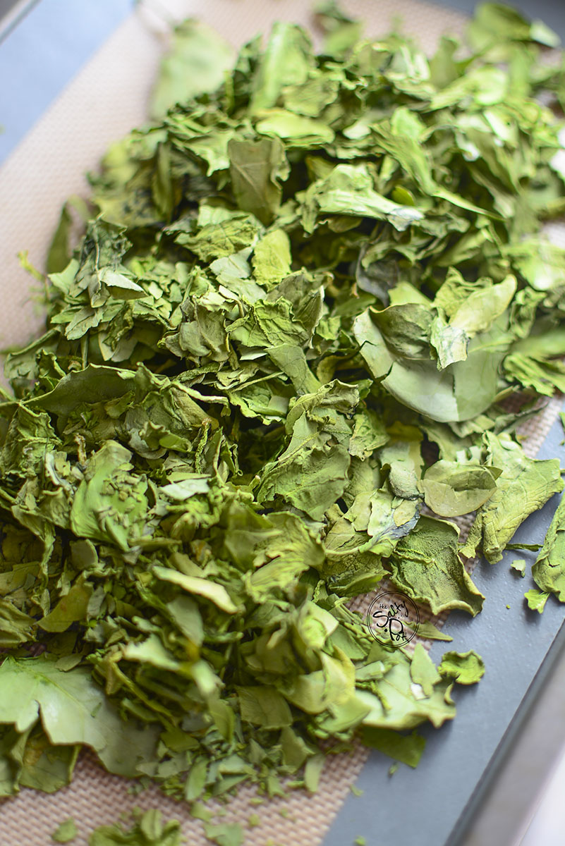 A Dehydrated Spinach Recipe | The Salty Pot