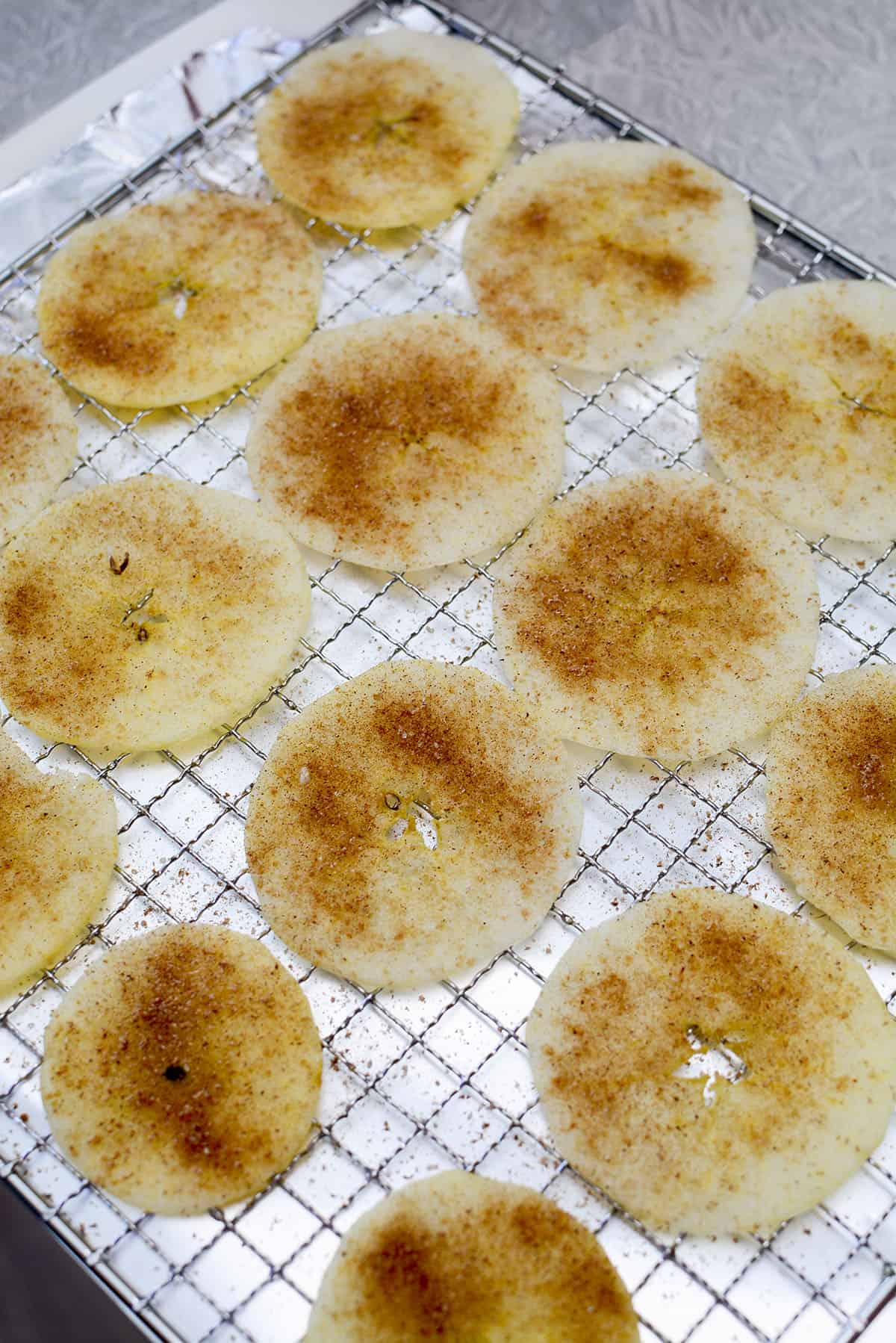 Cosori Premium Food Dehydrator: My Honest Thoughts