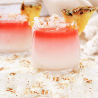 Tropical Pina Colada Shots