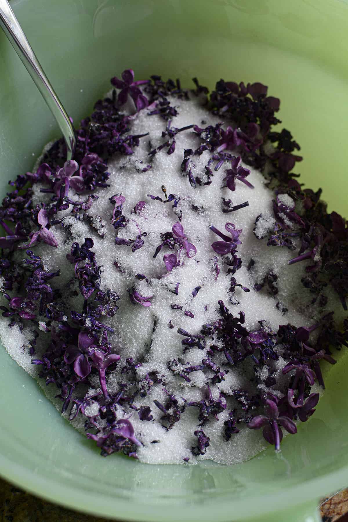 Lilac Sugar (How to Make, Store and Use it)
